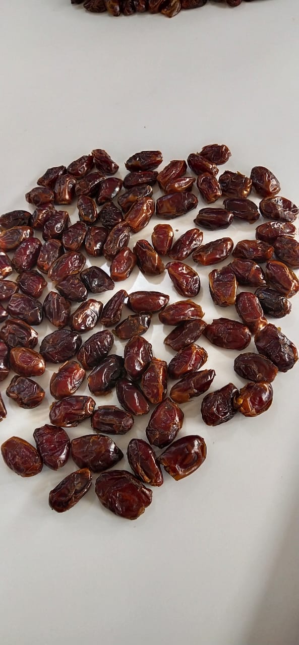 Premium Pakistani Dates | Aseel, Begum Jangi, Muzafati & Rabbi Dates ...